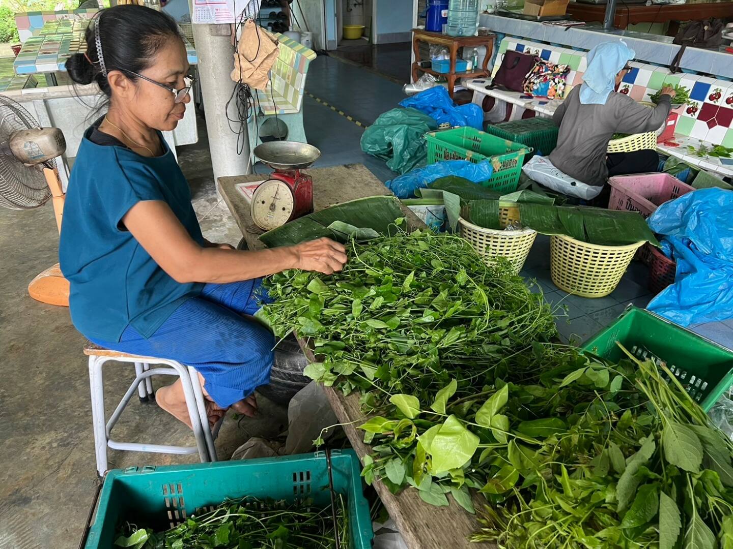 ส่งเสริมเศรษฐกิจหมุนเวียน CW Tower มอบปุ๋ย 1,500 กิโลกรัม ให้วิสาหกิจ ...